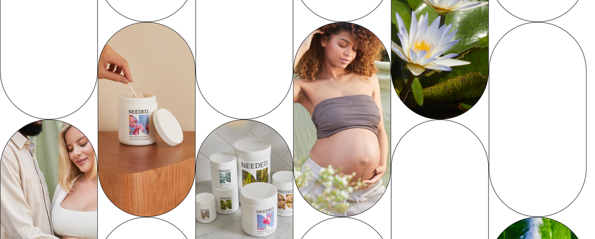 Pregnancy Supplements & Prenatal Vitamins – Needed. – Tagged "First ...